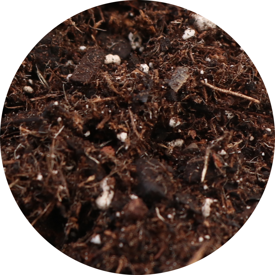 Bio Grow Substrate – YourFarm