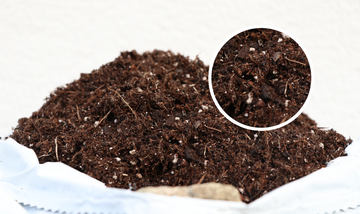 Your Farm – YourFarm