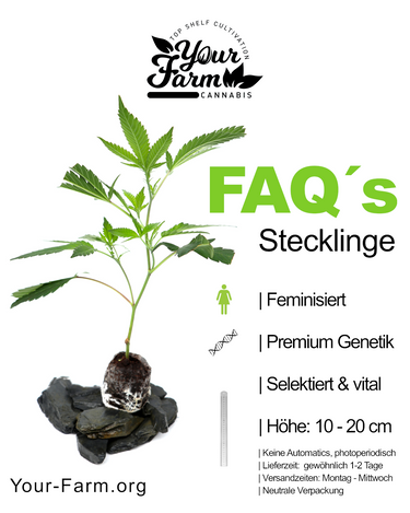 Your Farm – YourFarm