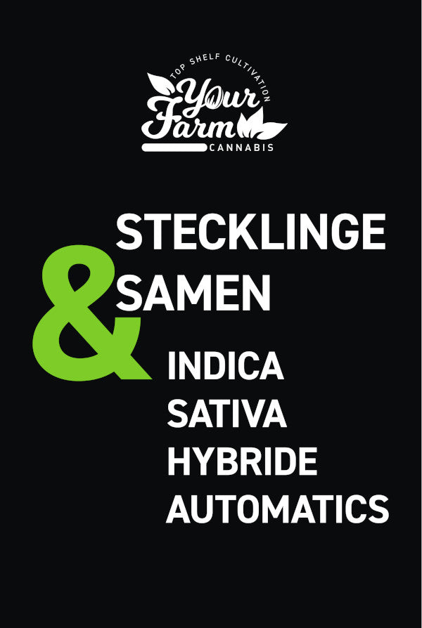 Your Farm – YourFarm